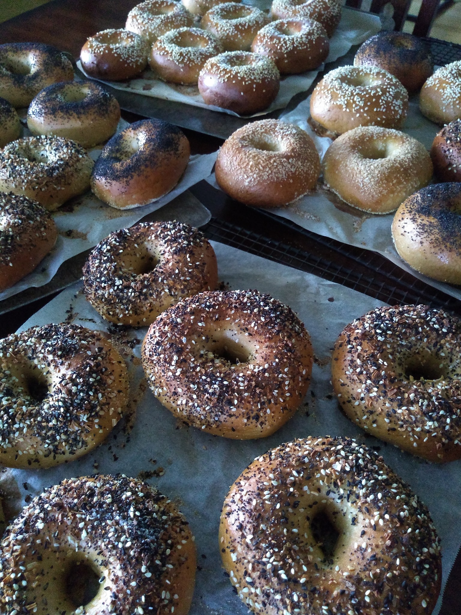Bagels – Early Riser Baking